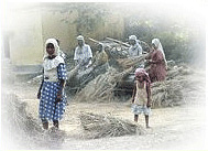 About Us – Friends of Payir